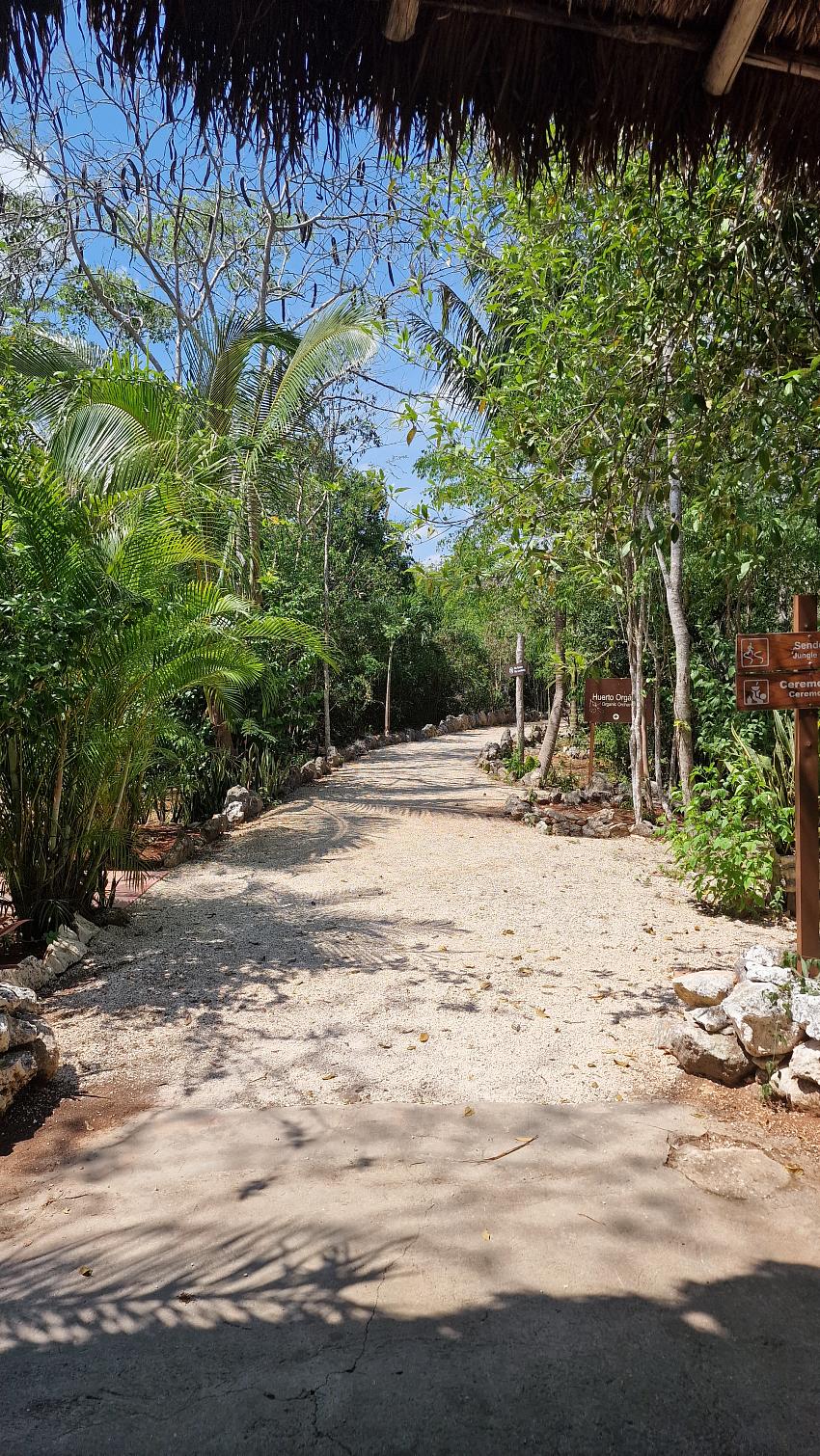 Cenote Maya Native Park: Swim, Snorkel & Zipline in a Cave ...